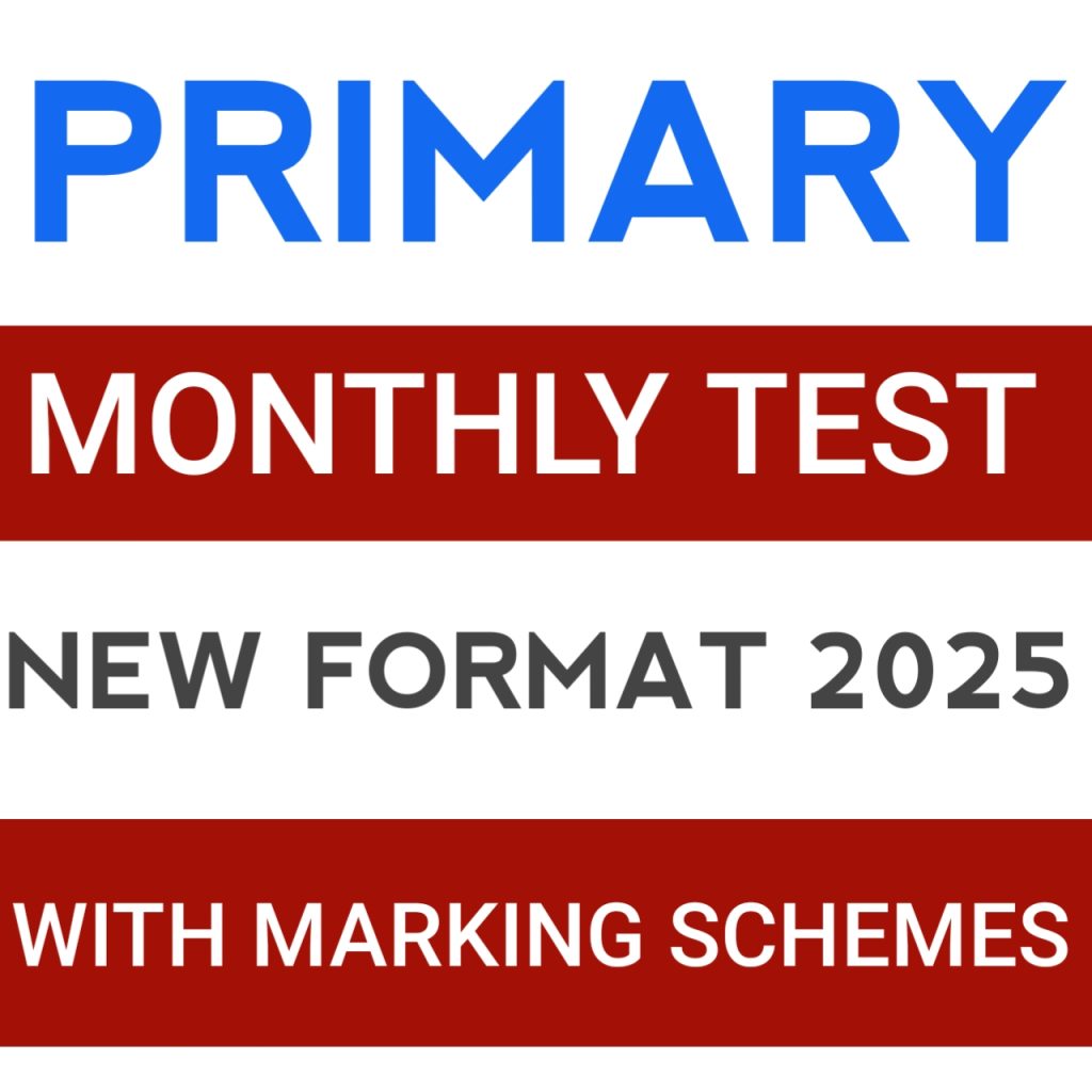 STEP Grade Four Assessment Examination August 2025 - Senkolink