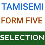 TAMISEMI Form Five Second Selection 2025/2026 - Senkolink