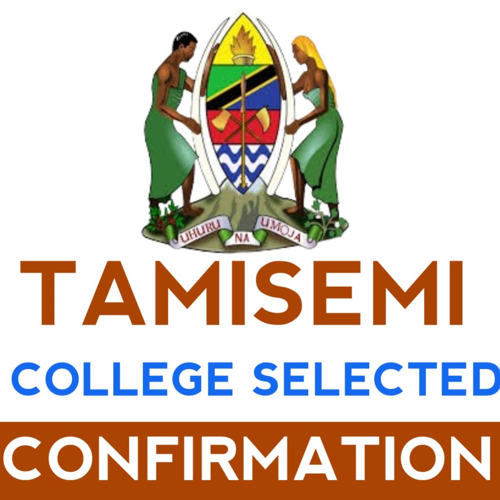 TAMISEMI Selected Student Confirmation – CBE for academic year 2025/ ...
